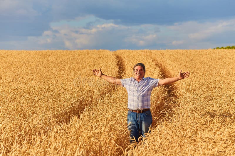 Farmer Standing in a Wheat Field Stock Photo - Image of laborer, bread ...