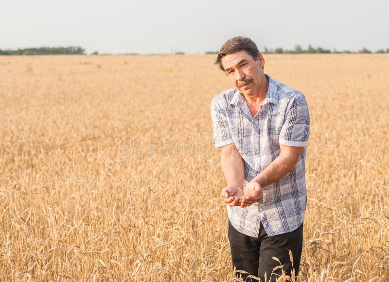 Farmer Standing in a Wheat Field Stock Image - Image of agriculture ...