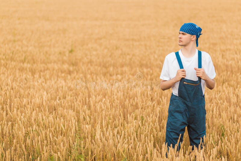 Farmer Standing in a Wheat Field Looking Thoughtfully Towards the Left ...
