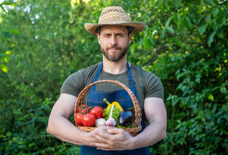 Farmer in Straw Hat Hold Basket Full of Vegetables Stock Image - Image ...