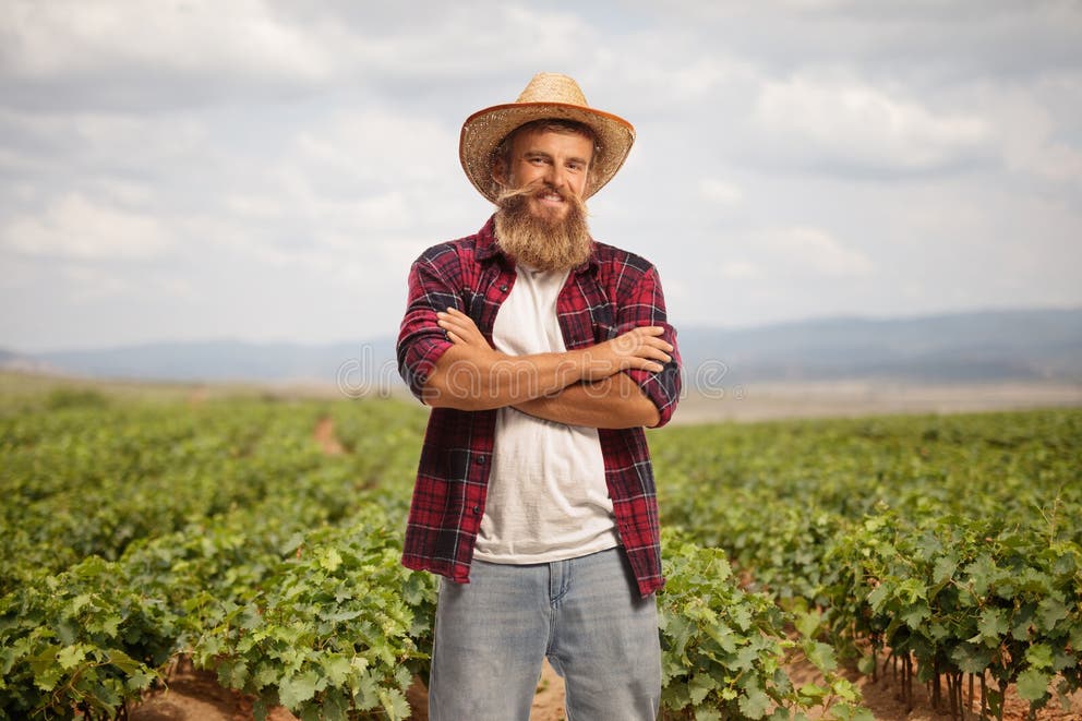Farmer with a Straw Hat Posing on a Grape Vine Field Stock Photo ...