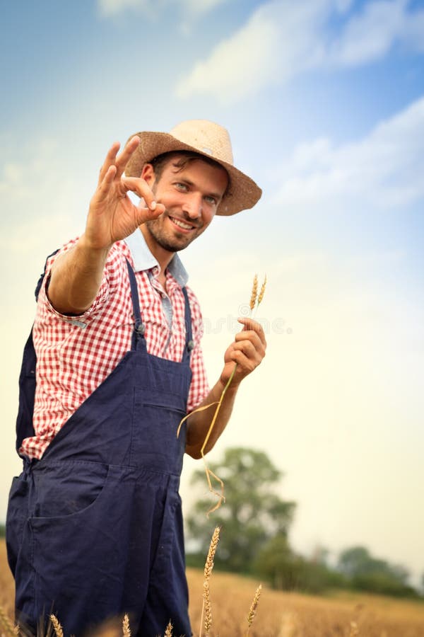 Farmer with Straw Hat Standing Wheat Field Stock Photo - Image of ...