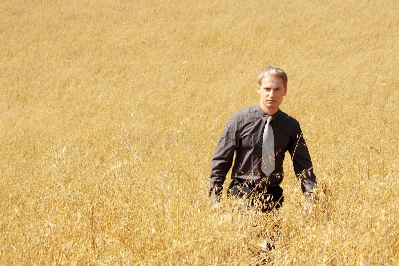 Farmer in Suit Standing in Field of Oats Stock Photo - Image of corn ...