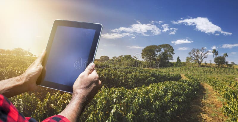 Farmer with Tablet Computer on the Coffee Plantation Field Countryside ...