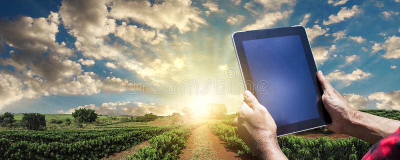 Farmer with Tablet Computer on the Coffee Plantation Field Countryside ...