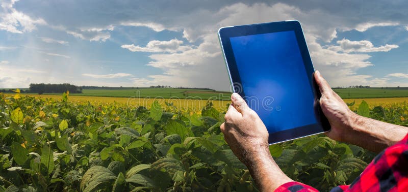 Farmer with Tablet Computer on the Soy Bean Plantation Field ...