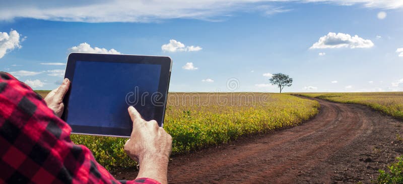 Farmer with Tablet Computer on the Soy Bean Plantation Field ...