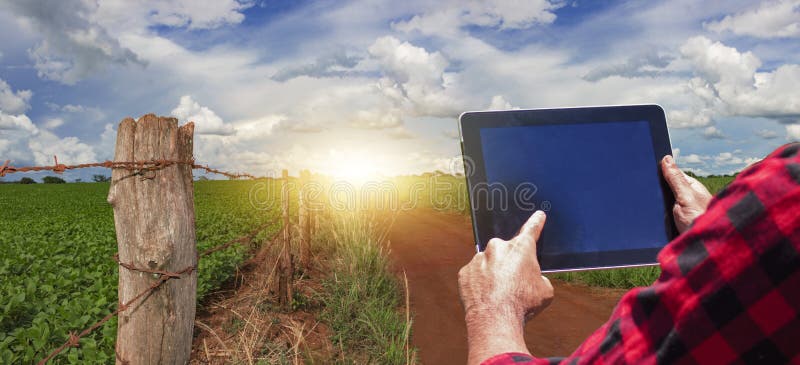 Farmer with Tablet Computer on the Soy Bean Plantation Field ...