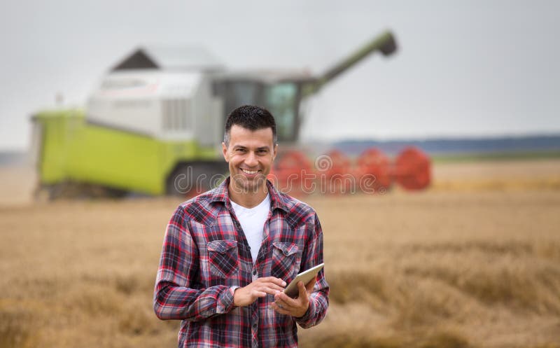Farmer with Tablet in Field during Harvest Stock Image - Image of ...