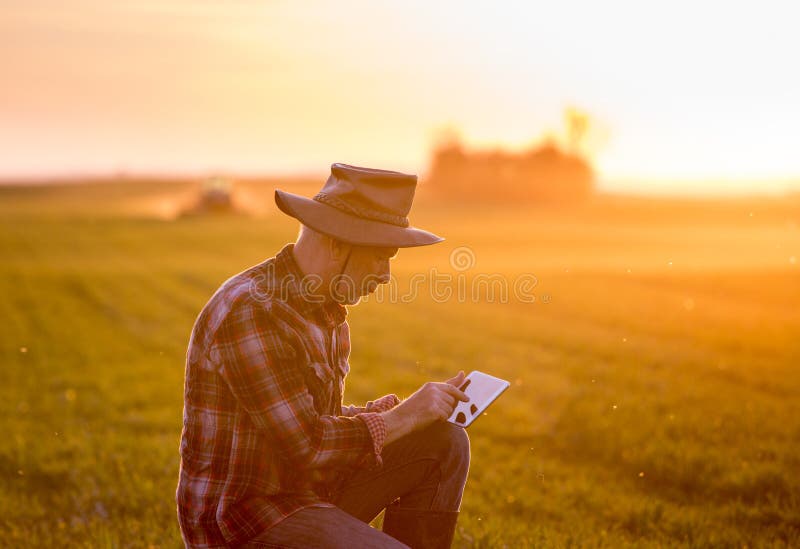 Farmer Squatting beside Cows in Barn Stock Image - Image of licking ...