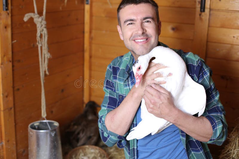 Farmer Taking Care of Ducks Stock Image - Image of fresh, beak: 245707405