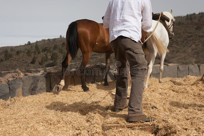 The Farmer To Crush Wheat Separating the Wheat from the Chaff Stock ...
