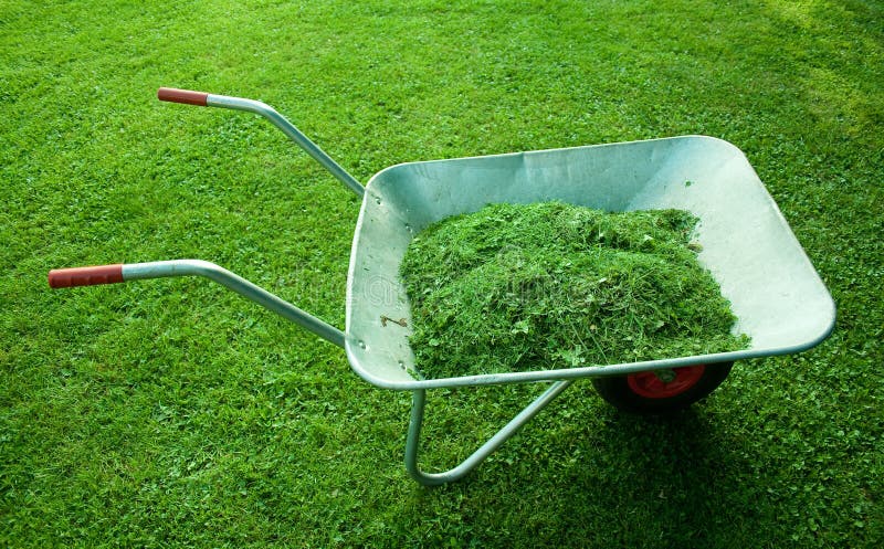 Farmer Tool with Green Grass Stock Image - Image of green, lawn: 10728863