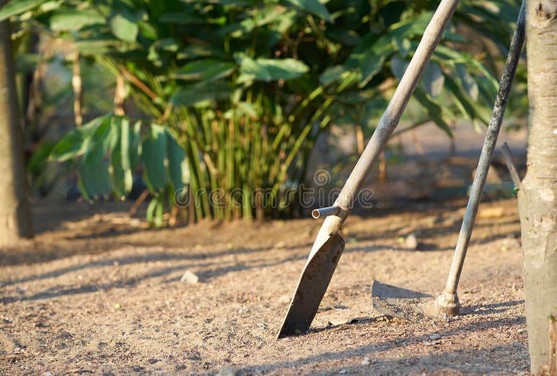 Farmer Tools for Agriculture in Garden Stock Image - Image of grass ...