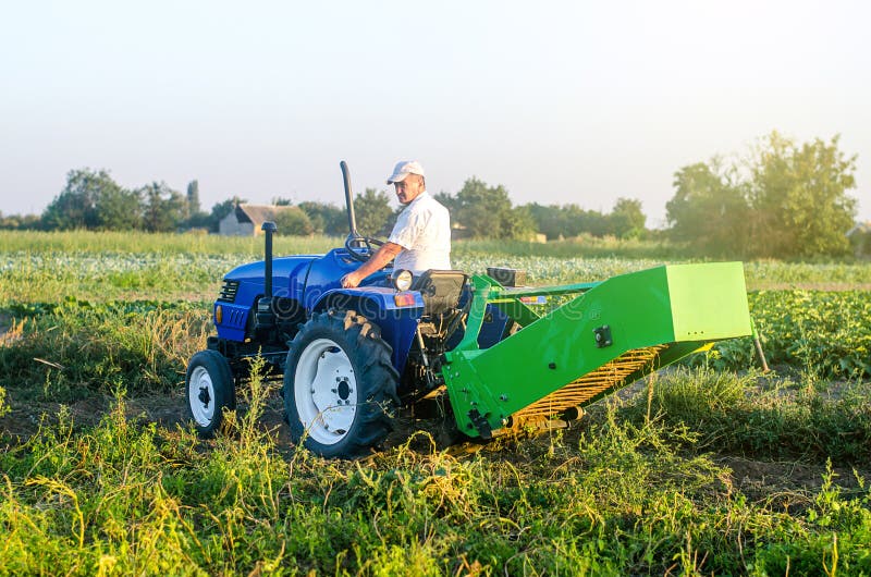 A Farmer on a Tractor with an Aggregate of Equipment for Digging Out ...