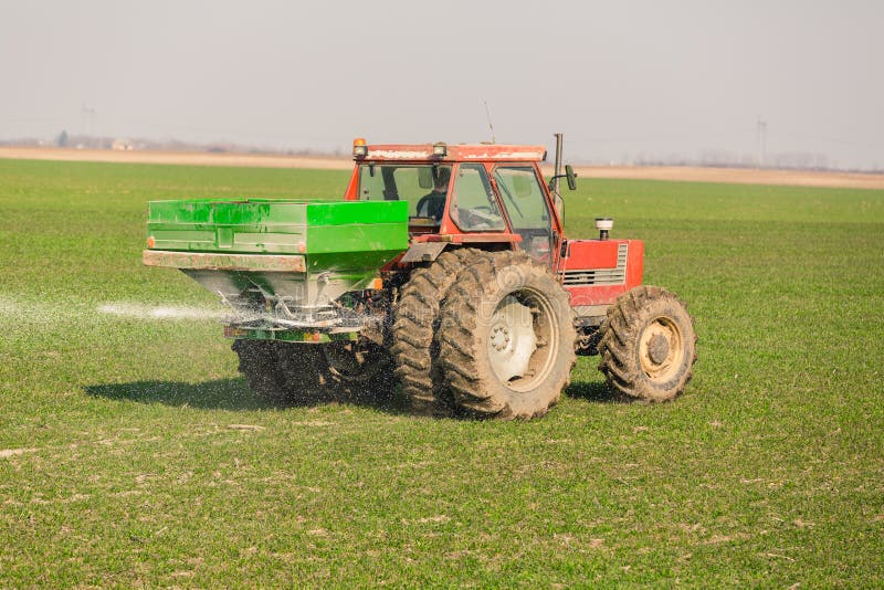 Farmer in Tractor Fertilizing Wheat Field at Spring with Npk Stock ...
