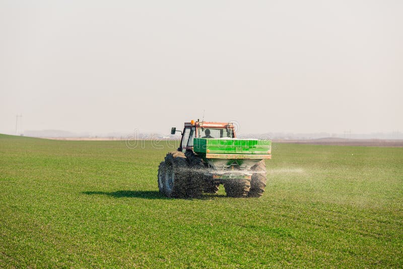 Farmer in Tractor Fertilizing Wheat Field at Spring with Npk Stock ...