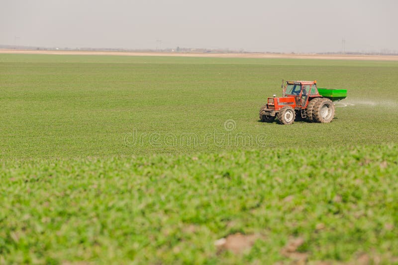Farmer in Tractor Fertilizing Wheat Field at Spring with Npk Stock ...