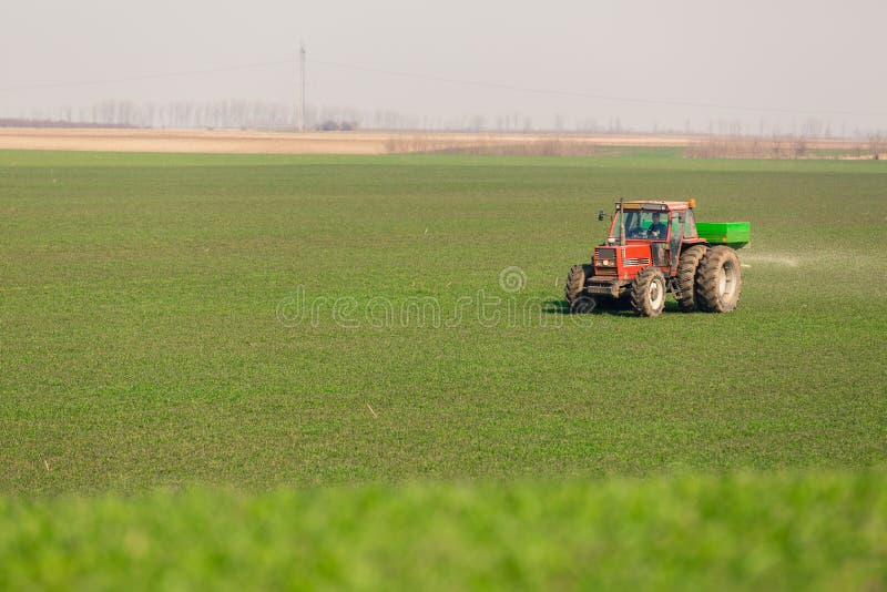 Farmer in Tractor Fertilizing Wheat Field at Spring with Npk Stock ...