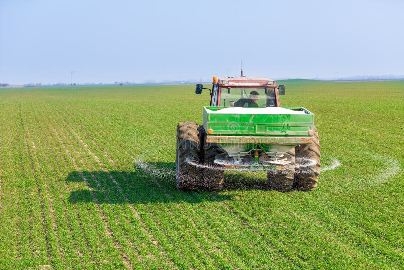 Farmer in Tractor Fertilizing Wheat Field at Spring with Npk. Stock ...