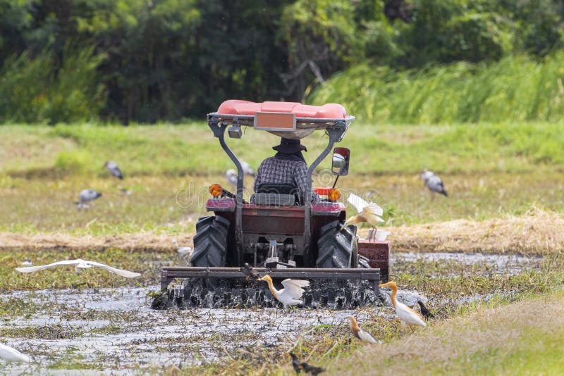 Farmer with Tractor-sowing Crops in the Farm Stock Image - Image of ...