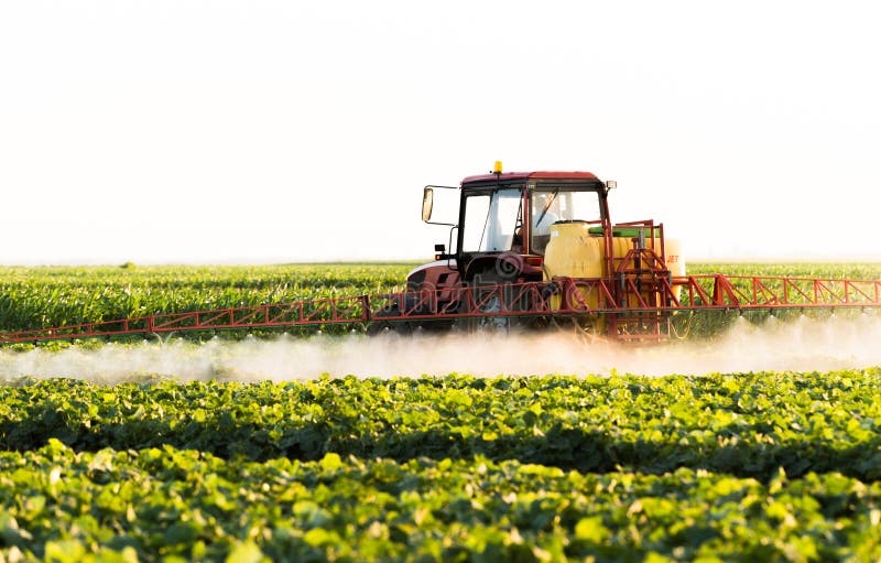 Farmer on a Tractor with a Sprayer Makes Fertilizer for Young Vegetable ...