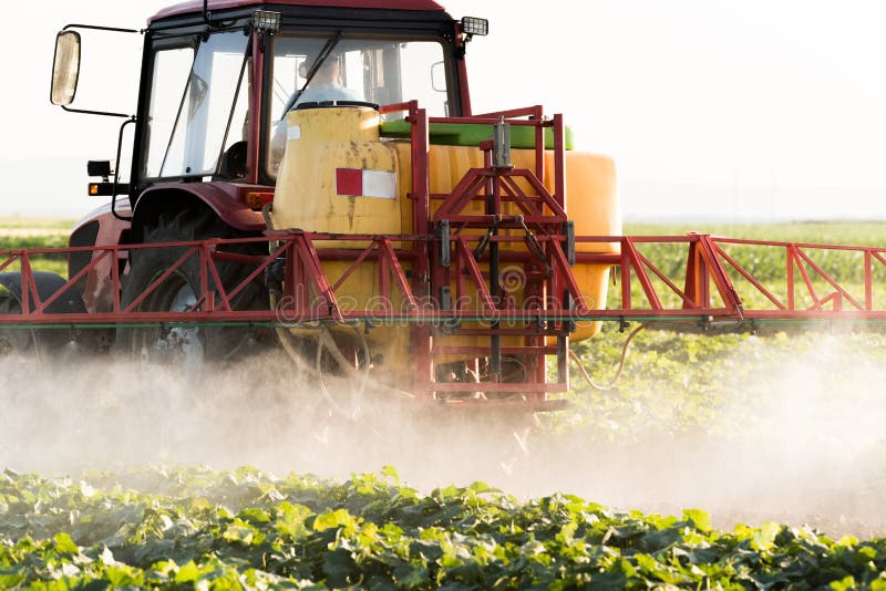 Farmer on a Tractor with a Sprayer Makes Fertilizer for Young Vegetable ...