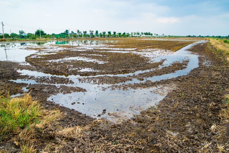 Farmer Use Tractor Prepares the Ground for Planting Stock Photo - Image ...