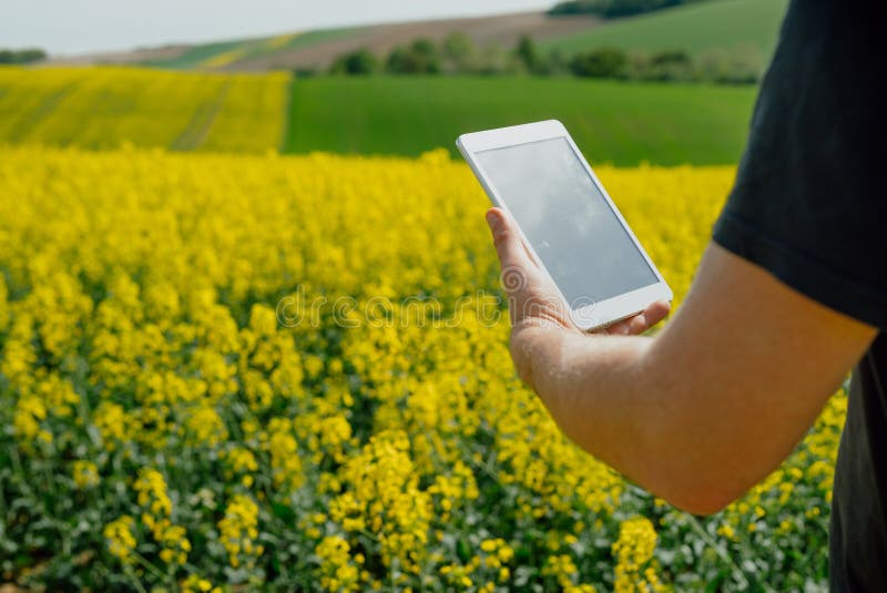 Agriculture Farmer Holding Tablet Stock Image - Image of farmland ...
