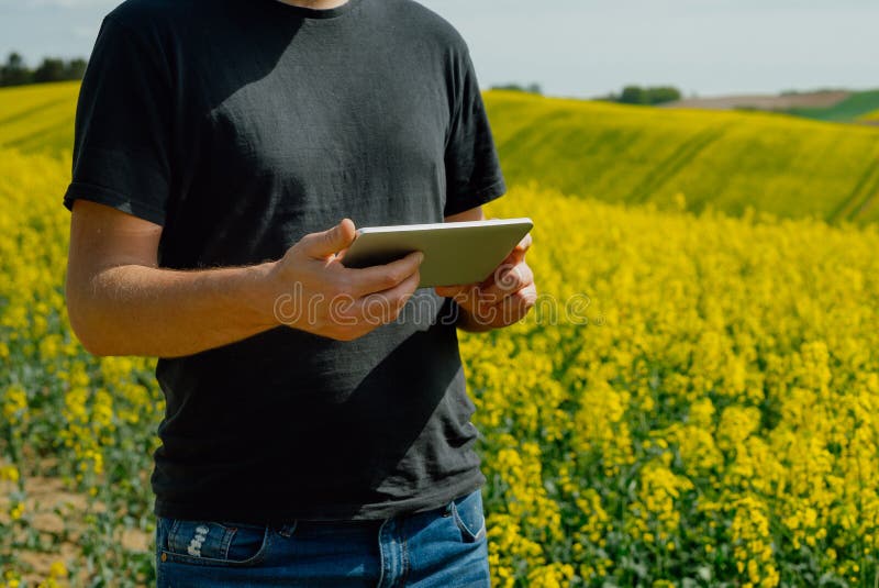 Agriculture Farmer Holding Tablet Stock Photo - Image of concept, crop ...