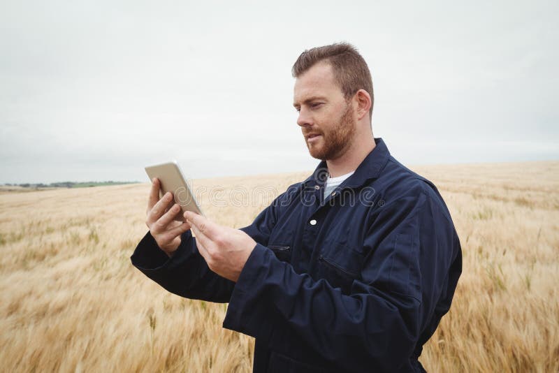 Farmer Using Digital Tablet in the Field Stock Image - Image of golden ...