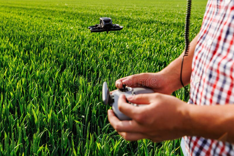 Farmer Using Drone for Smart Agriculture in Wheat Field Stock Image ...
