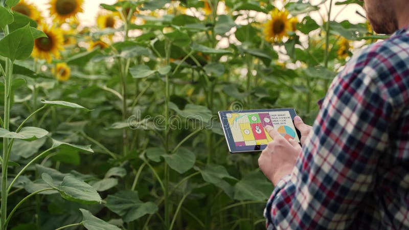 Farmer Using Online Data Management Software, Differential Fertilizer ...