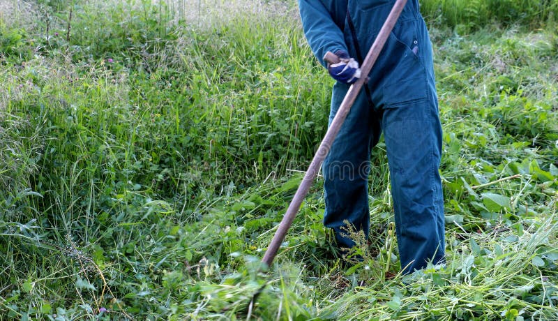 Farmer Using Scythe To Mow the Lawn Traditionally Stock Photo - Image ...