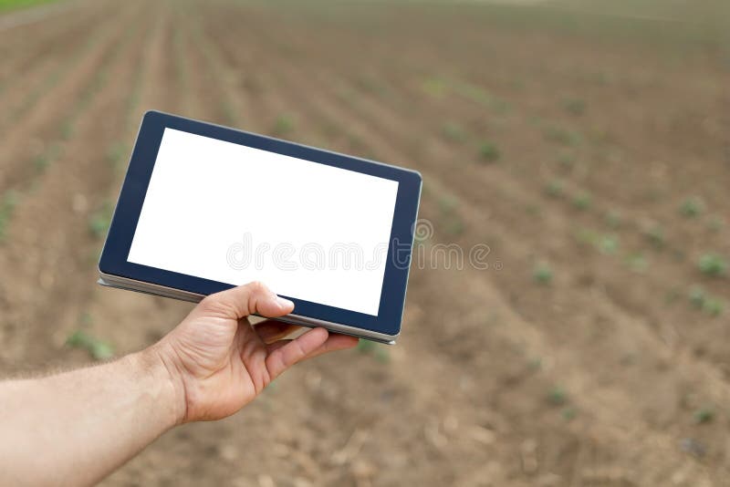 Farmer Using Tablet Computer in Agricultural Cultivated Field. W Stock ...