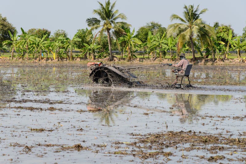 Farmer Using Tiller Tractor in Rice Field Editorial Photo - Image of ...