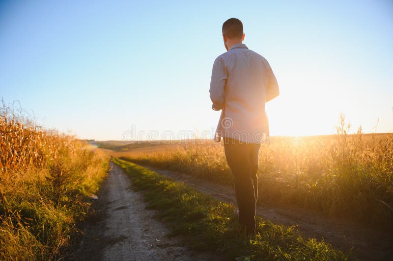 Farmer Walking in Corn Fields with Beautiful Sunset Stock Photo - Image ...