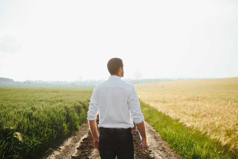 Farmer Walking through a Green Wheat Field on Windy Spring Day and ...