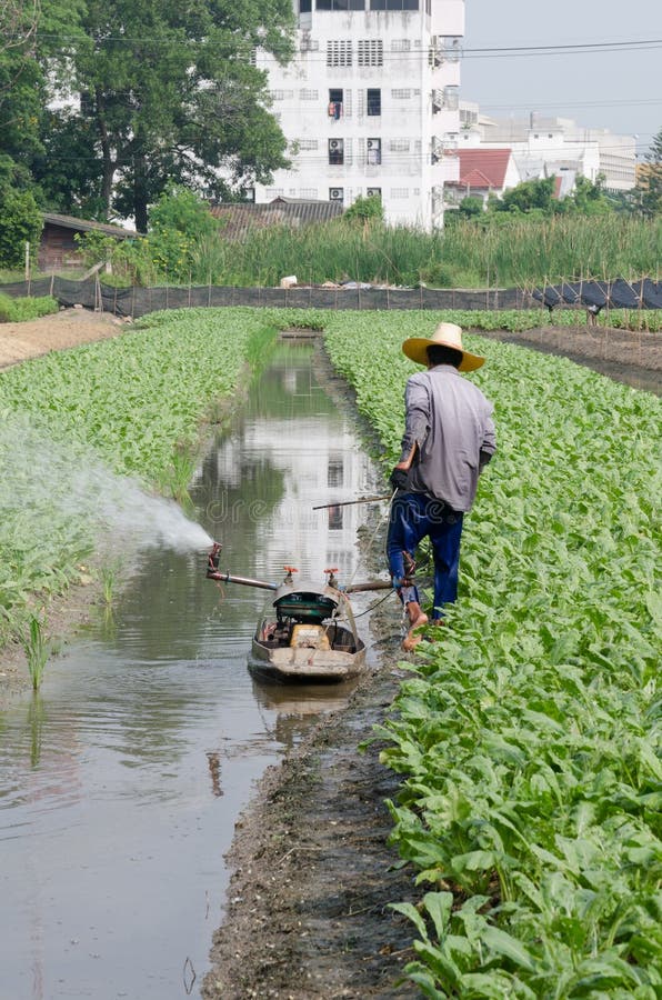Farmer Water Plant Shallow Canal Stock Photos - Free & Royalty-Free ...