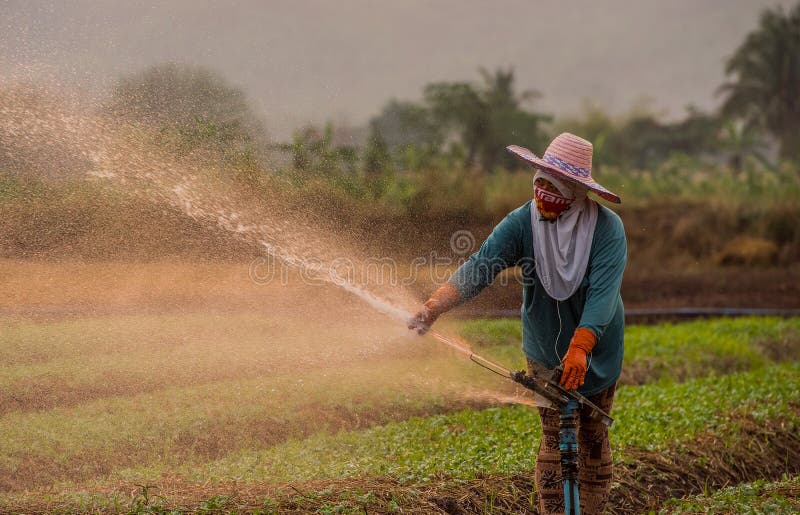 Farmer Watering in the Field Editorial Stock Photo - Image of human ...