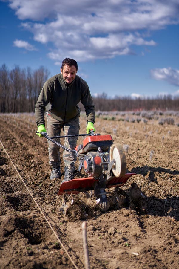 Farmer Weeding the Field with a Tiller Stock Photo - Image of field ...