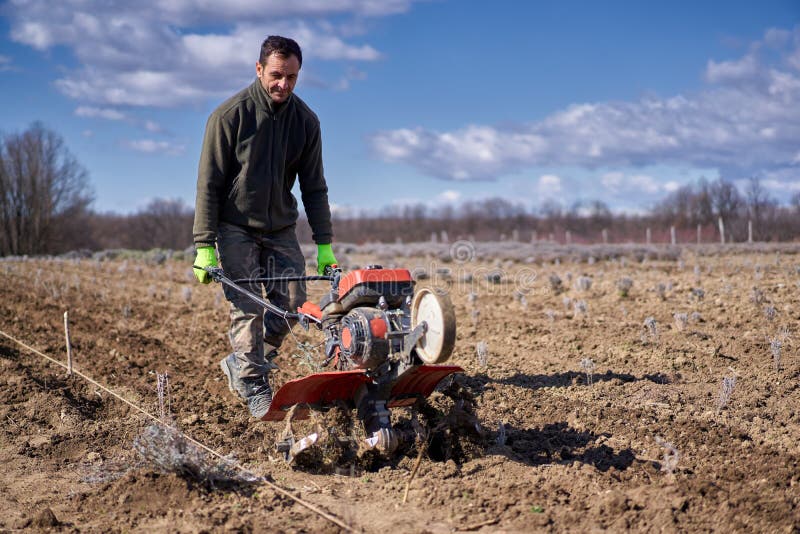 Farmer Weeding the Field with a Tiller Stock Image - Image of flowers ...