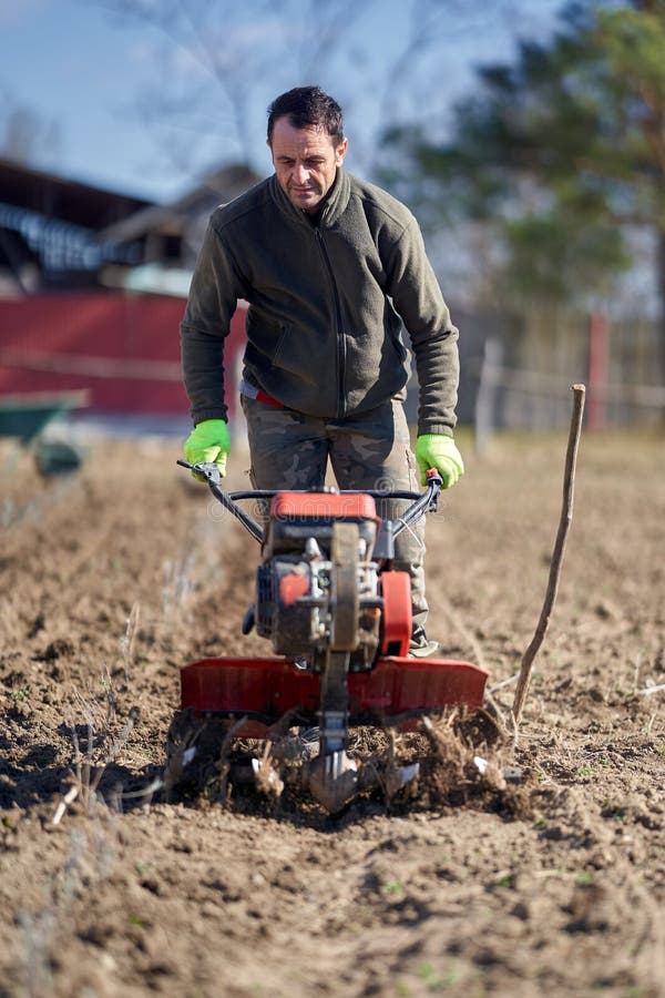 Farmer Weeding the Field with a Tiller Stock Photo - Image of growth ...