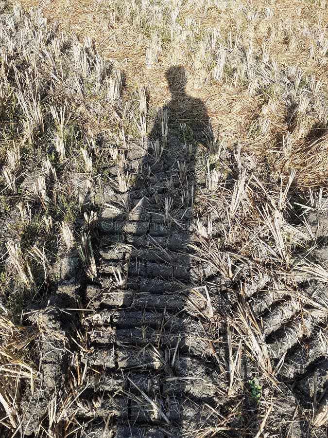 2,351 Farmer Shadow Photos - Free & Royalty-Free Stock Photos from ...