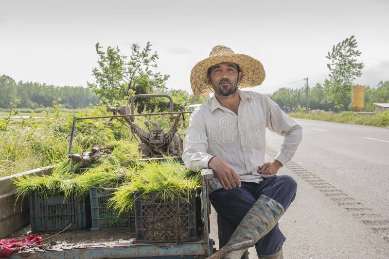 Farmer with Wicker Hat beside the Road Editorial Stock Image - Image of ...