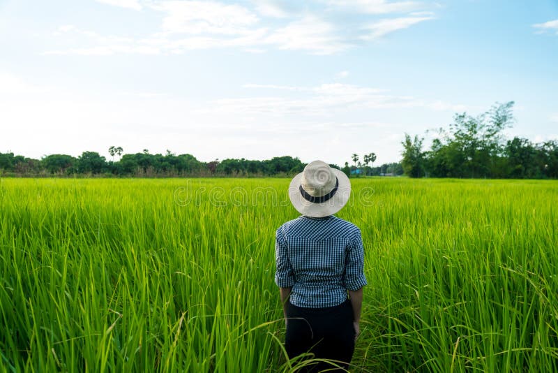 Woman Standing On Rice Field During Cloudy Day Picture. Image: 109913044
