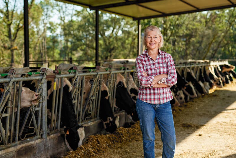 Farmer Woman is Working on Farm with Dairy Cows Stock Image - Image of ...