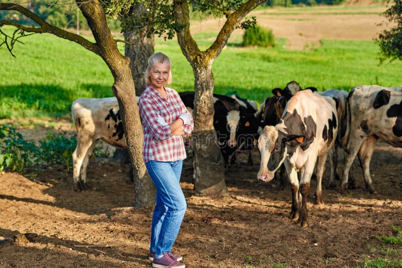 Farmer Woman is Working on Farm with Dairy Cows Stock Image - Image of ...