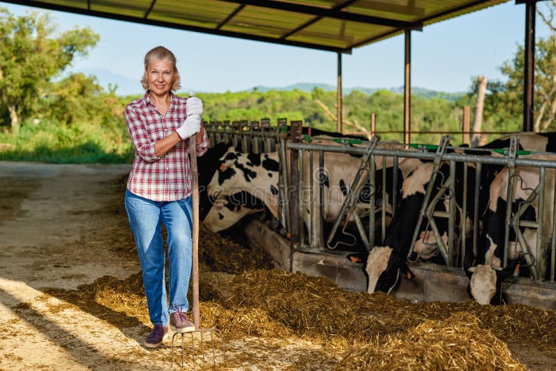 Farmer Woman is Working on Farm with Dairy Cows Stock Image - Image of ...