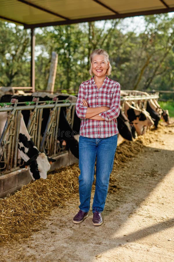 Farmer Woman is Working on Farm with Dairy Cows Stock Photo - Image of ...